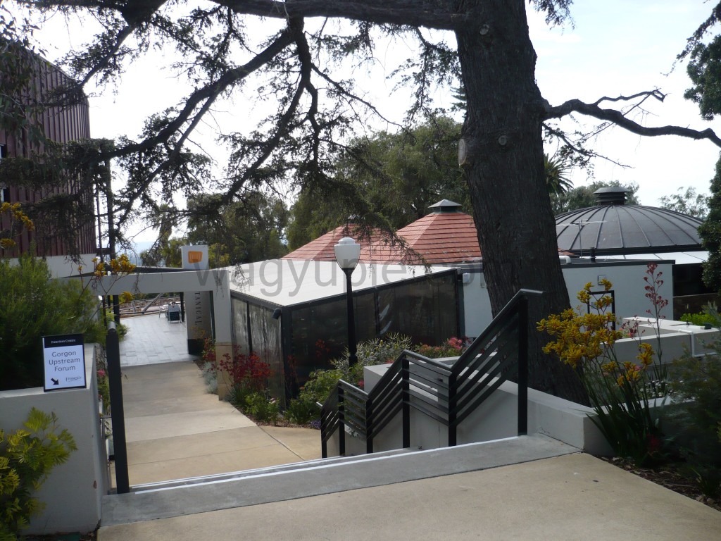 botanical cafe @ west perth